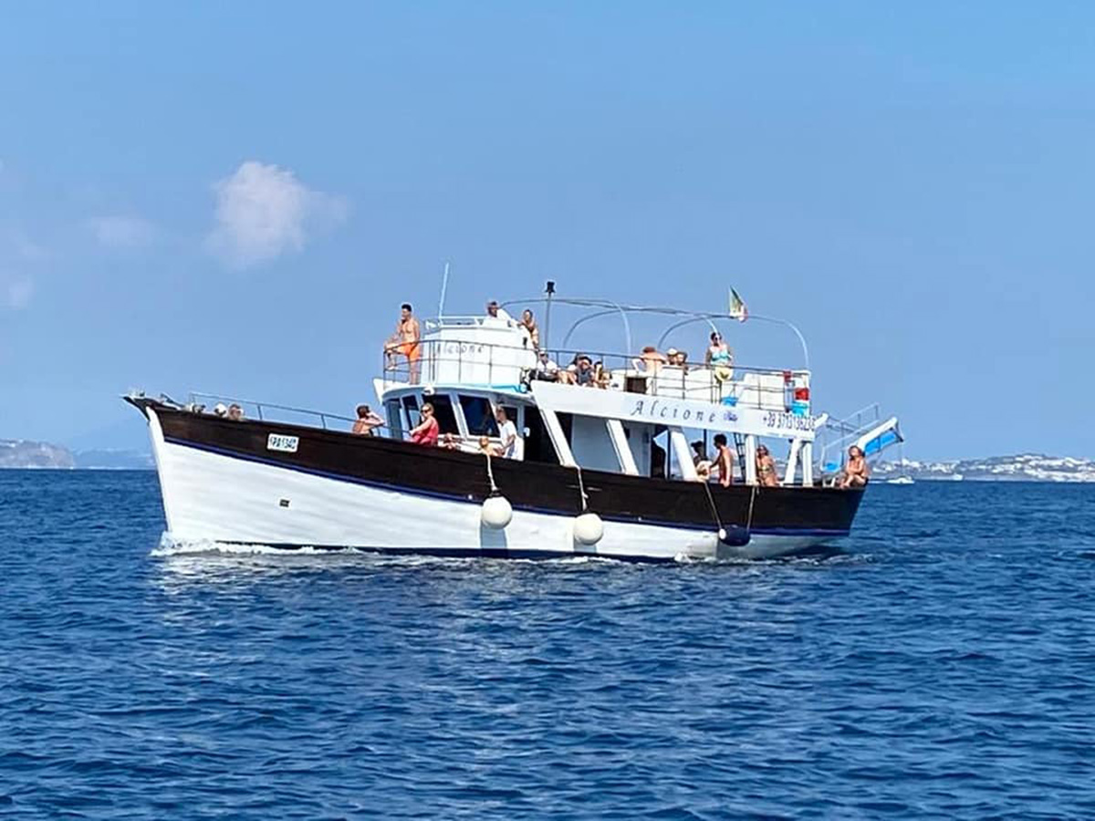 Alcione Boat - Excursions by sea - Forio