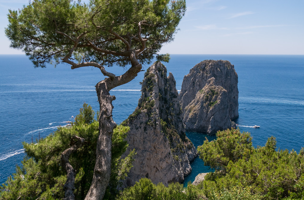 Pizzolungo hiking, private guided tour - 2024 - Nesea Capri Tour
