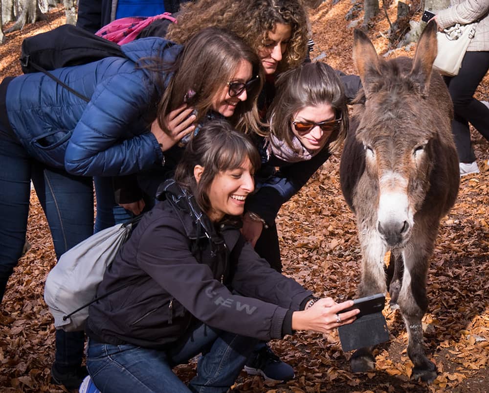 Sorrento's Mount Faito - Itinerari - Sorrento
