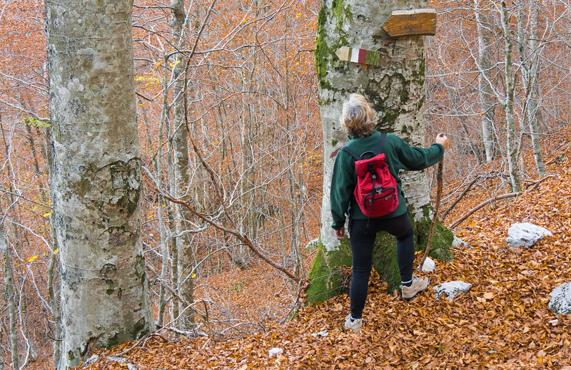 Sorrento's Mount Faito - Itinerari - Sorrento