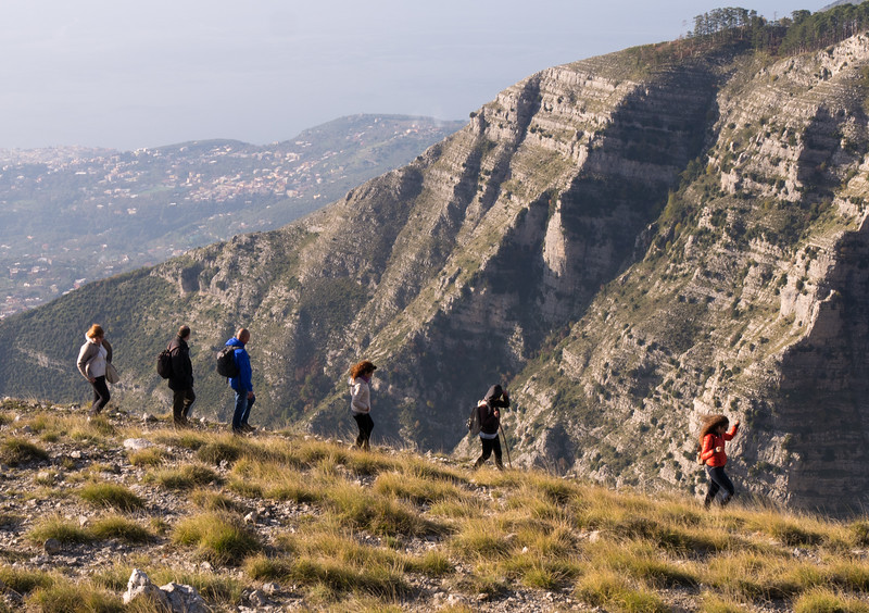 Sorrento's Mount Faito - Natura - Sorrento
