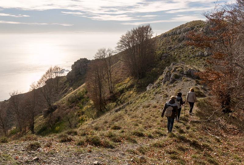 Sorrento's Mount Faito - Natura - Sorrento