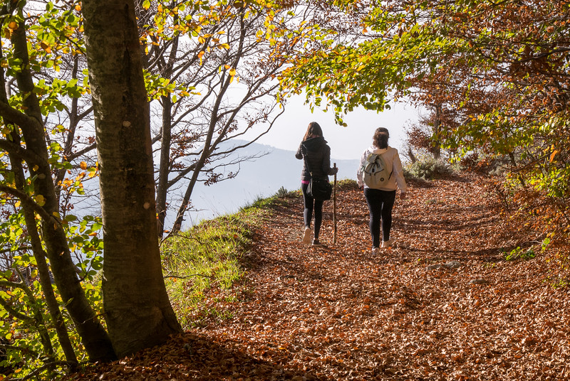 Sorrento's Mount Faito - Itinerari - Sorrento