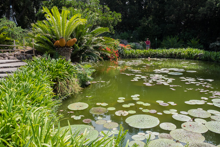 Forio d'Ischia - Ischia Guide