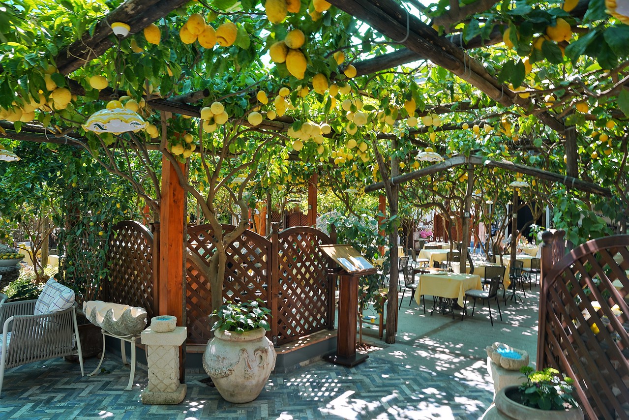 Dining Under a Canopy of Lemons - Capri and Amalfi Coast