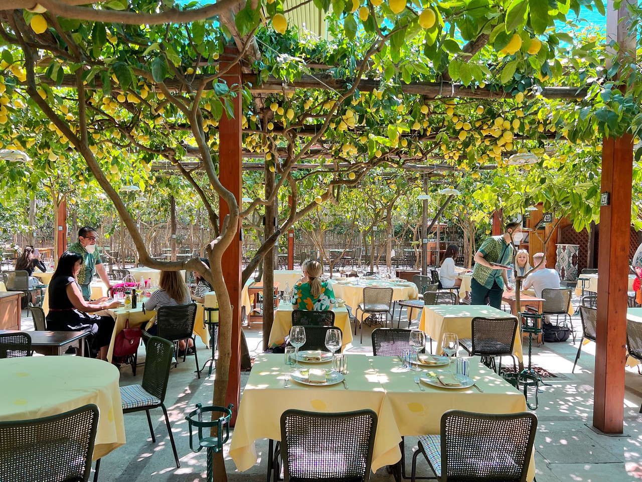 Dining Under a Canopy of Lemons - Gourmet - Island of Capri