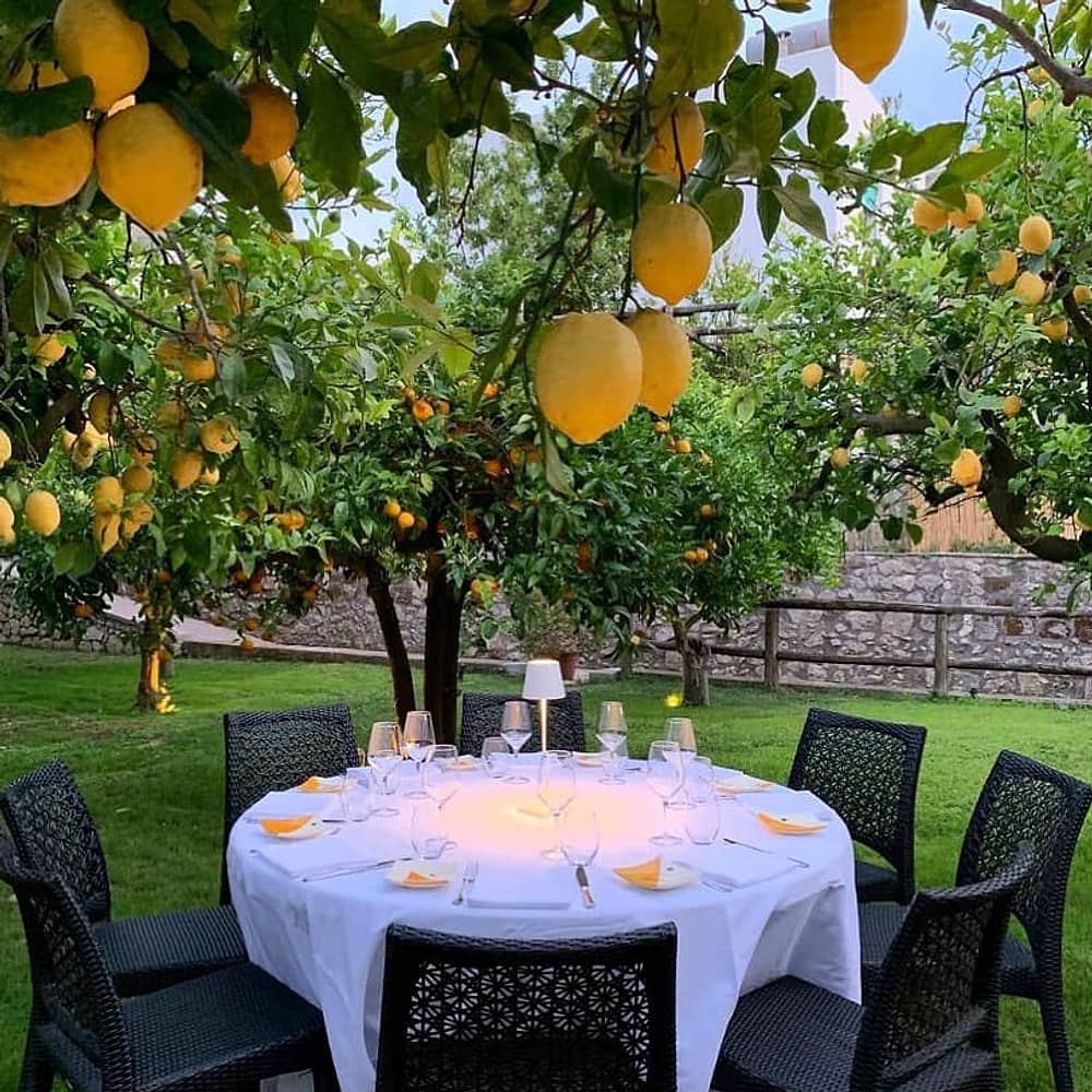 Dining Under a Canopy of Lemons - Gourmet - Island of Capri