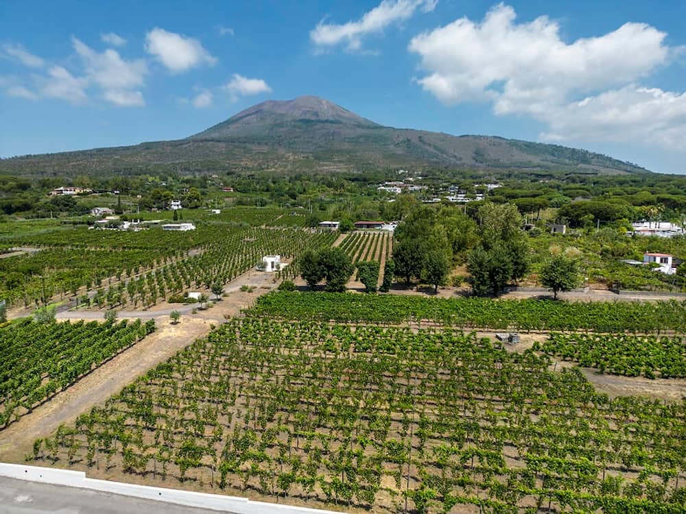 Tickets for Pompeii, Herculaneum, and Vesuvius - Buy Online