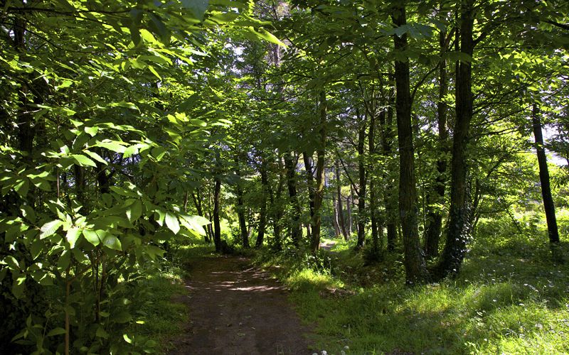 Mount Solaro - Capri