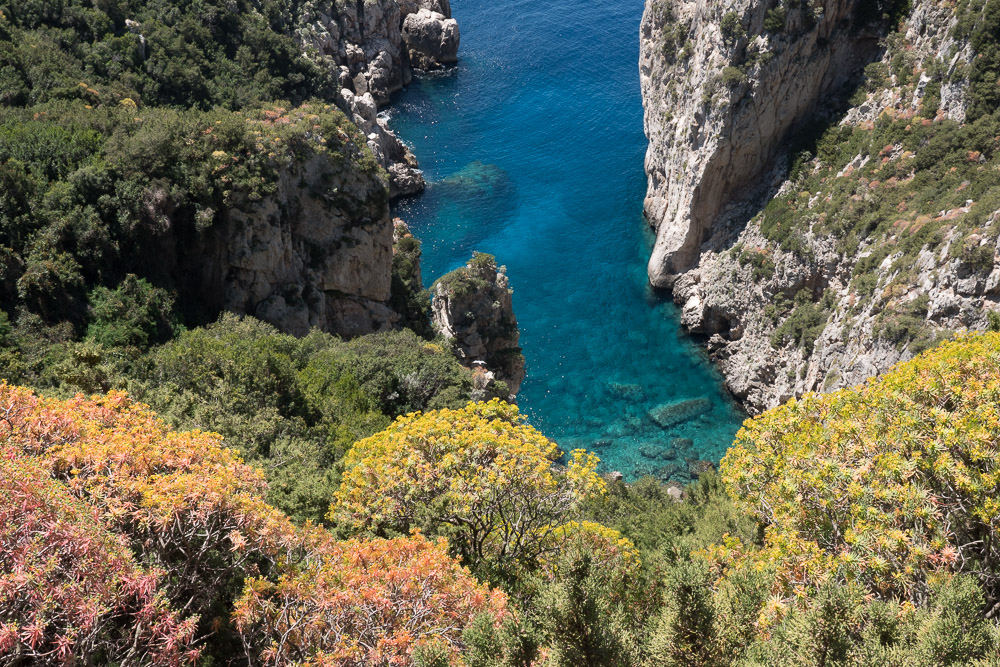 Towers and Forts - Itinerari - Island of Capri